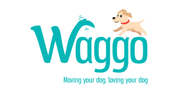 Waggo QR | Waggo - Moving your dog, loving your dog.